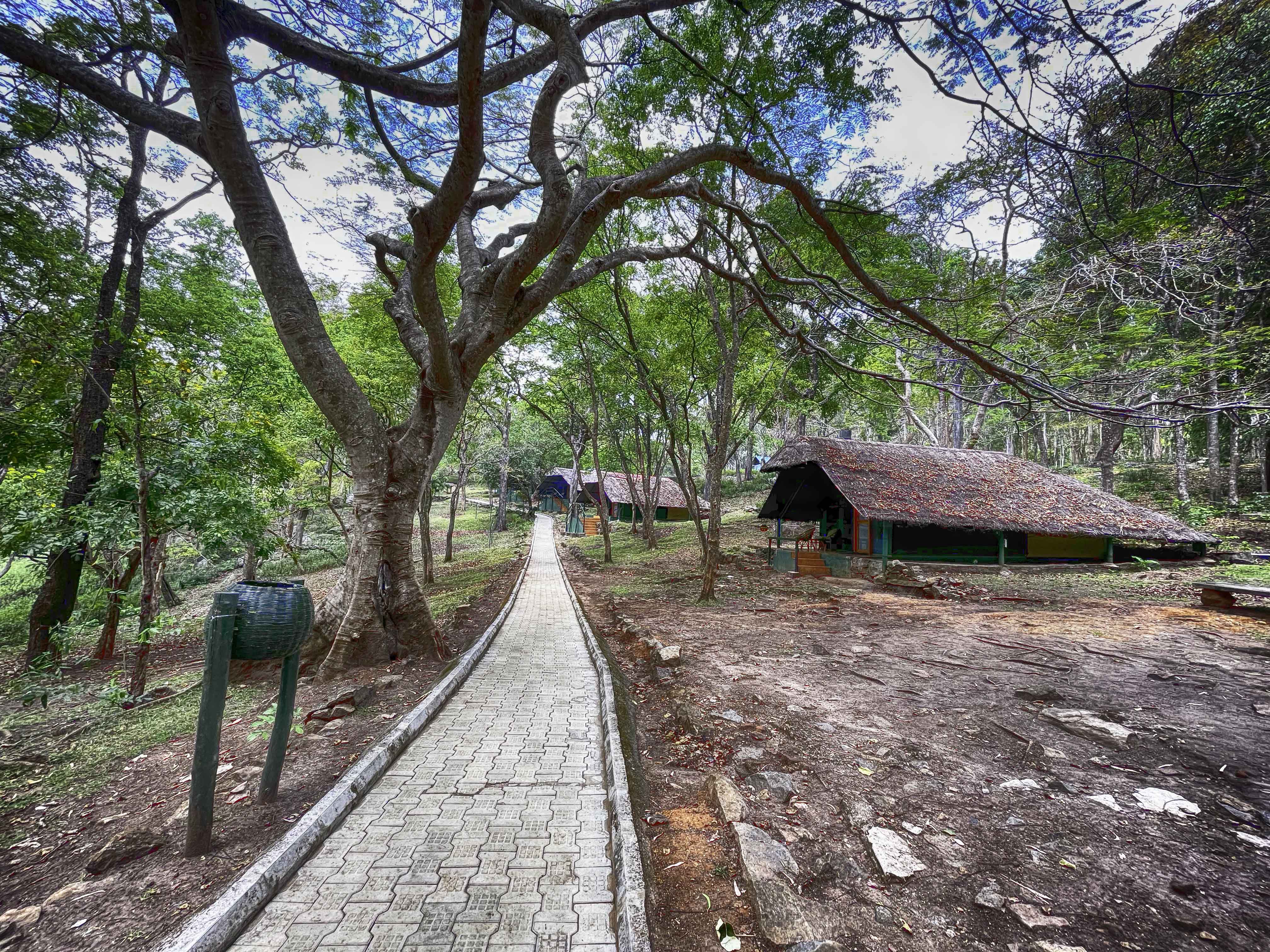 K Gudi Wilderness Camp Review - PankajSinghPhotographie